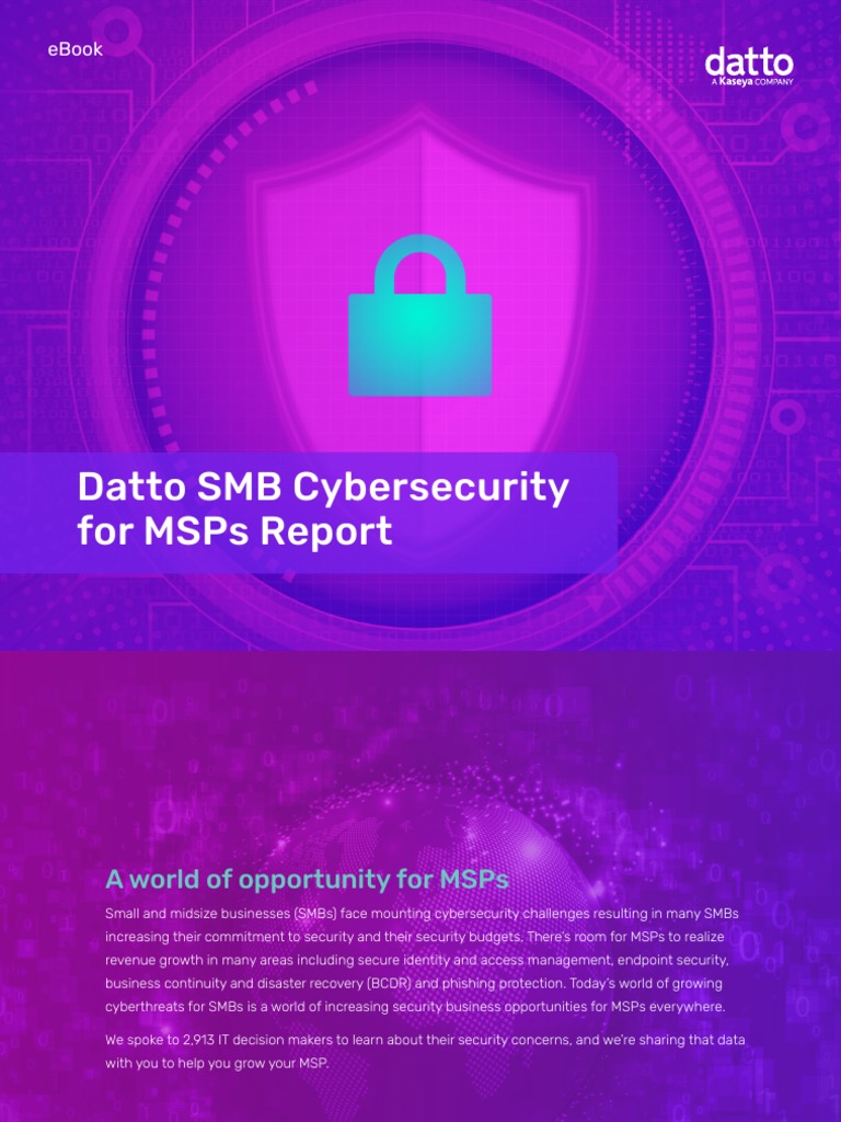 Cybersecurity Report For SMBs | PDF | Security | Computer Security