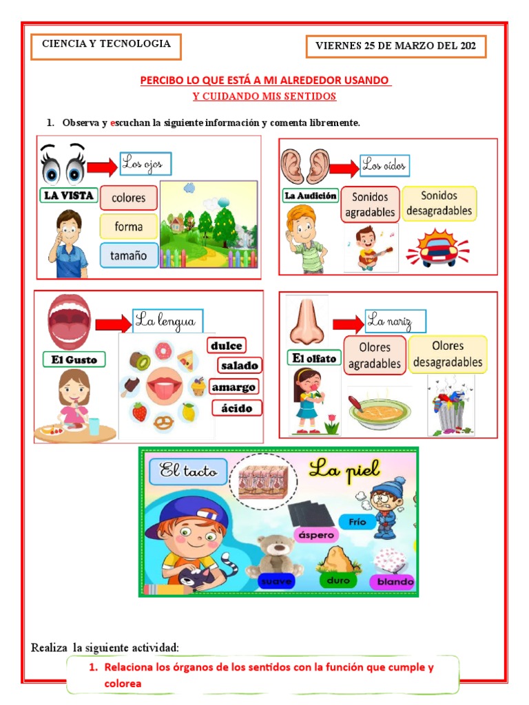 Actividad de Ciencia y Tecnologia | PDF