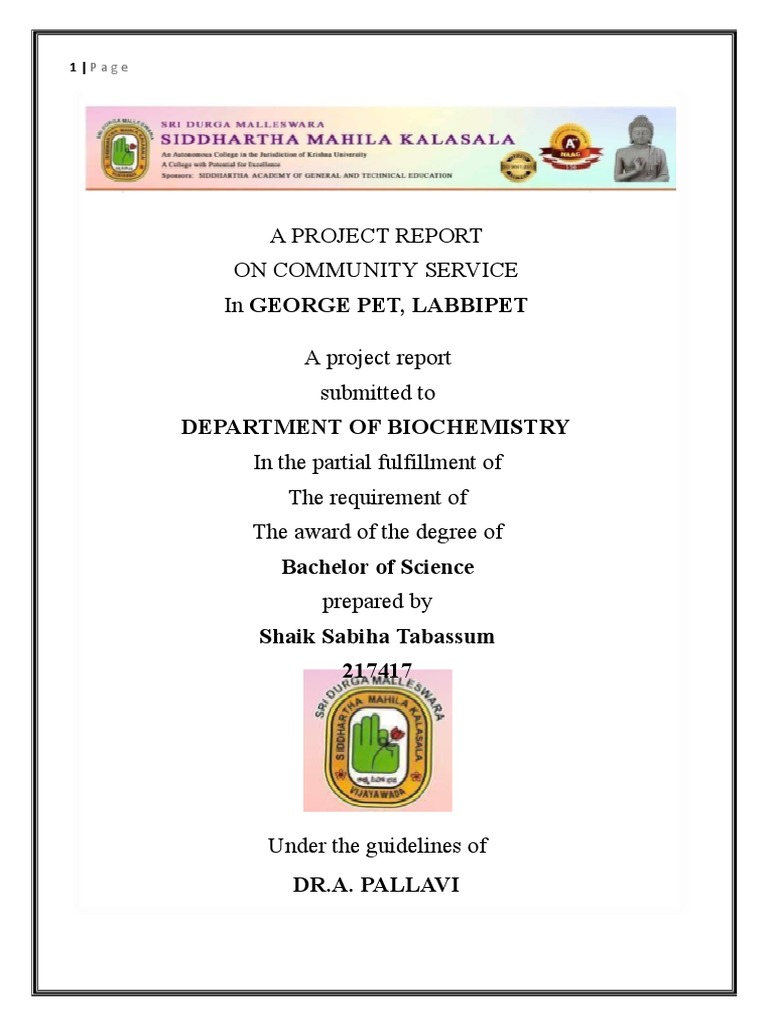 Community Service Report | PDF | Foods | Diet & Nutrition