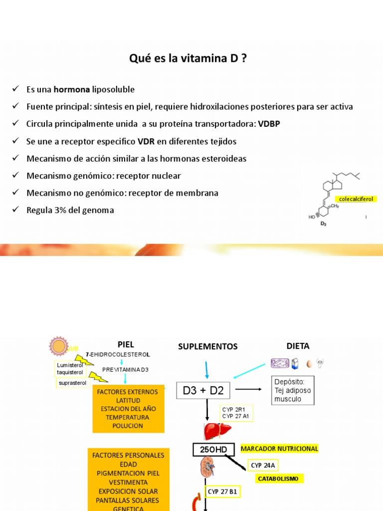 Que Es La Vitamina D | PDF | Vitamina D | Enfermedades y trastornos