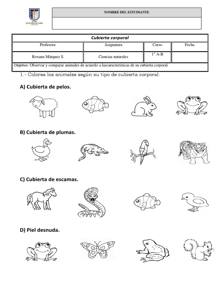 Guia Cubierta Corporal Animales 1° | PDF