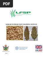 MAIZE Spray Program FINAL | PDF | Maize | Weed