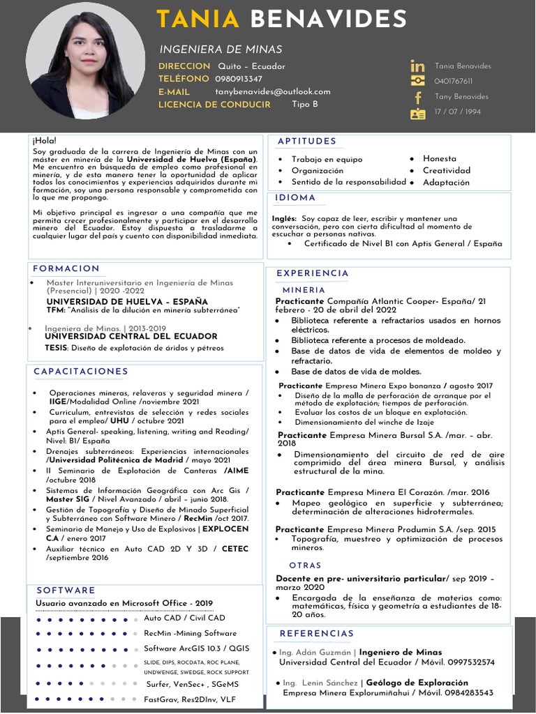 CV Benavides Tania (Hoja 1) | PDF | Minería | Sistema de información ...