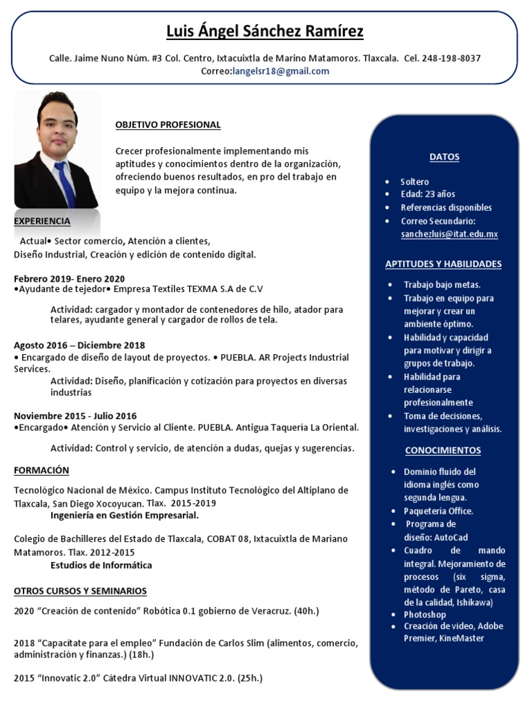CV Luis Ángel Sánchez Ramírez | PDF | Business | Informática