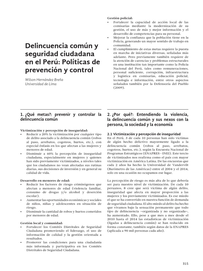 Delincuencia Común y Seguridad Ciudadana en El Perú: Políticas de ...