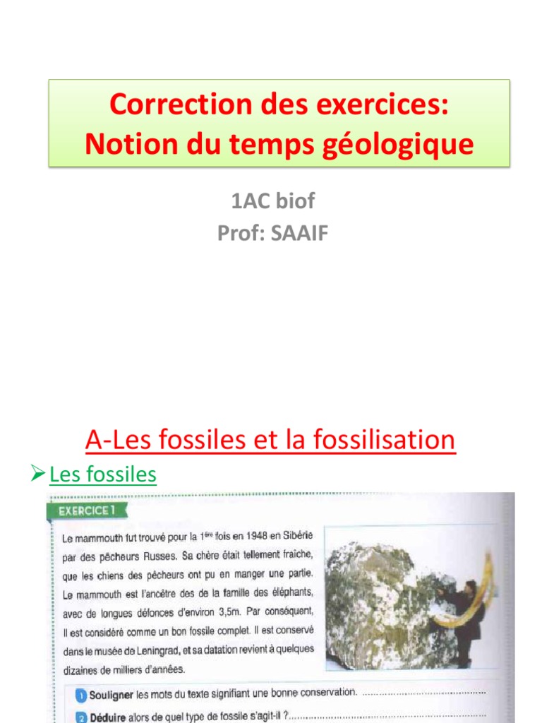 Des Exercices Notion de Temps Géologique | PDF | Fossile | Stratigraphie