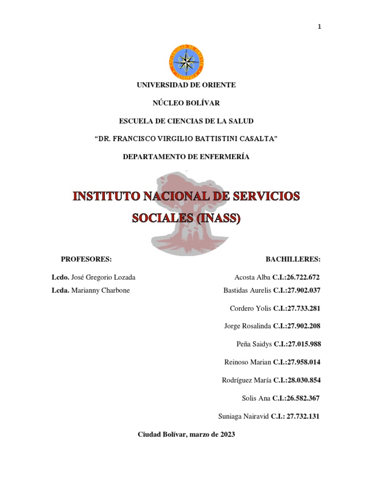 Inass Informe | PDF | Trabajo Social | Vejez