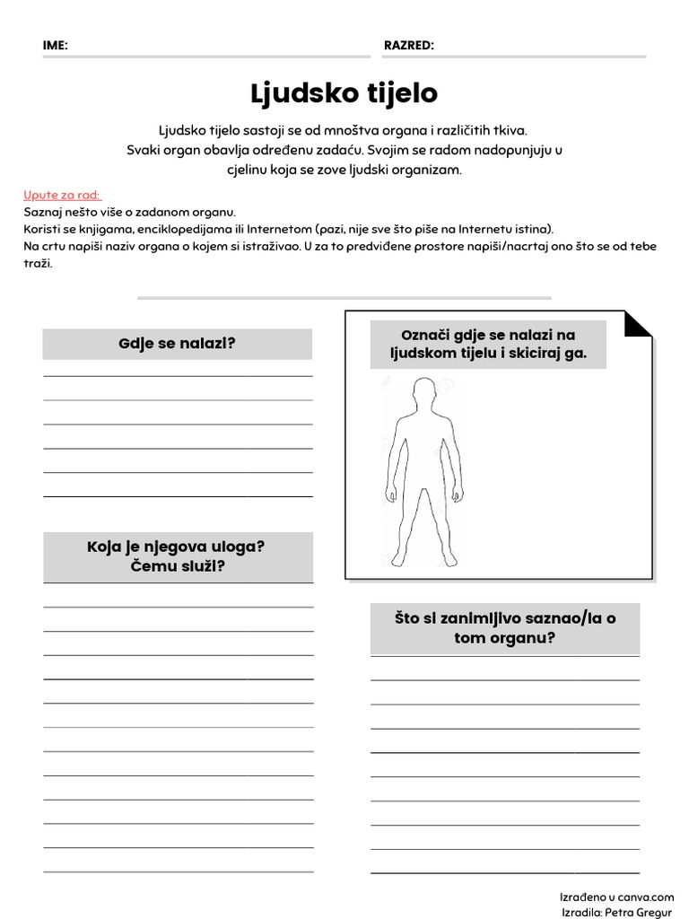 Ljudsko Tijelo - Istraživački Zadatak | PDF