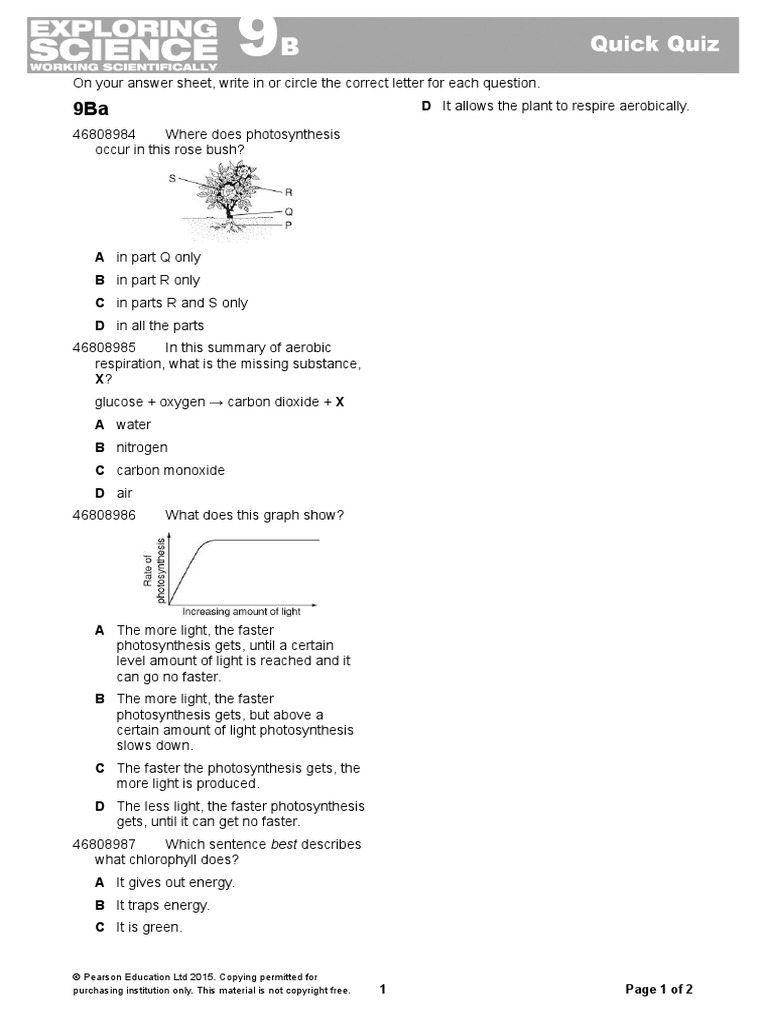 9b Quick Quiz | PDF | Photosynthesis | Plants