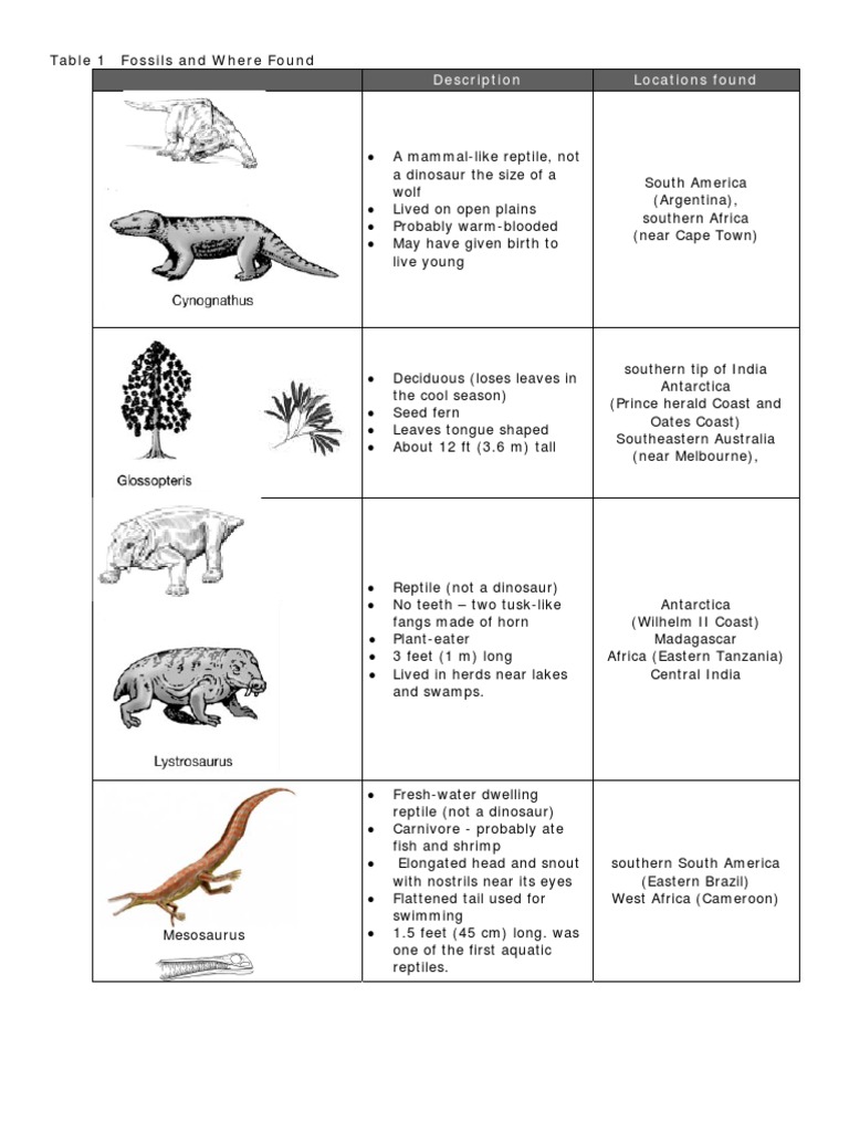 Table 1 Fossils and Where Found | PDF | Dinosaurs | Antarctica