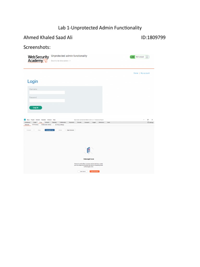 Lab 1-Unprotected Admin Functionality | PDF