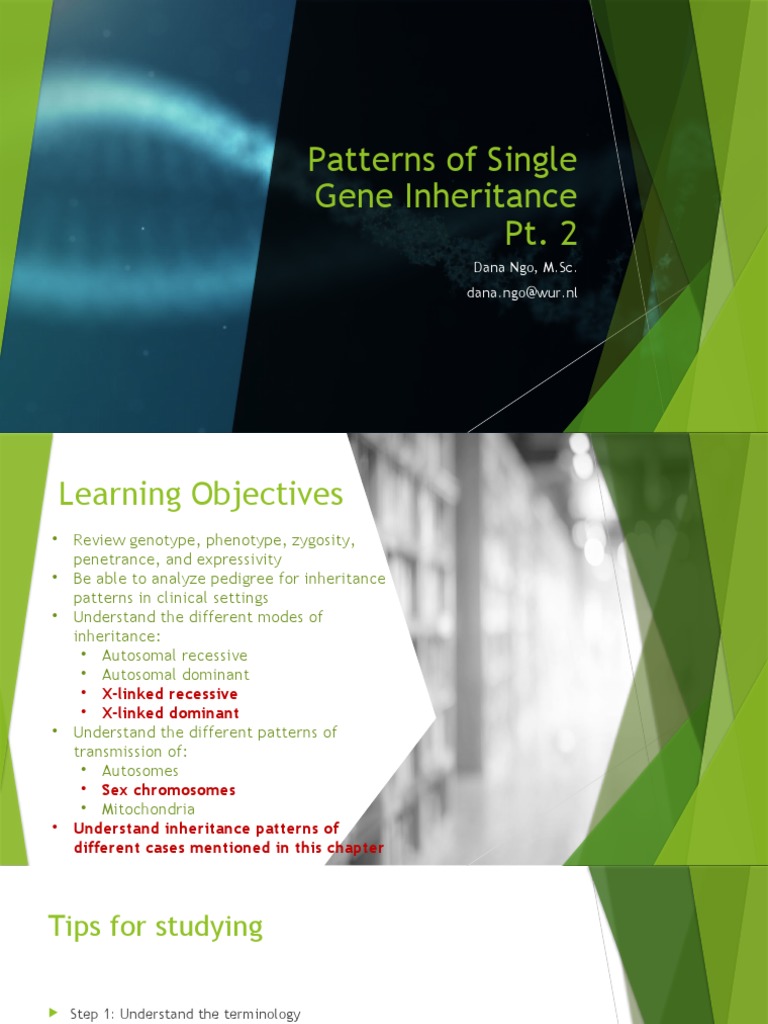 Patterns of Single Gene Inheritance Pt. 2: Dana Ngo, M.Sc. Dana - Ngo ...