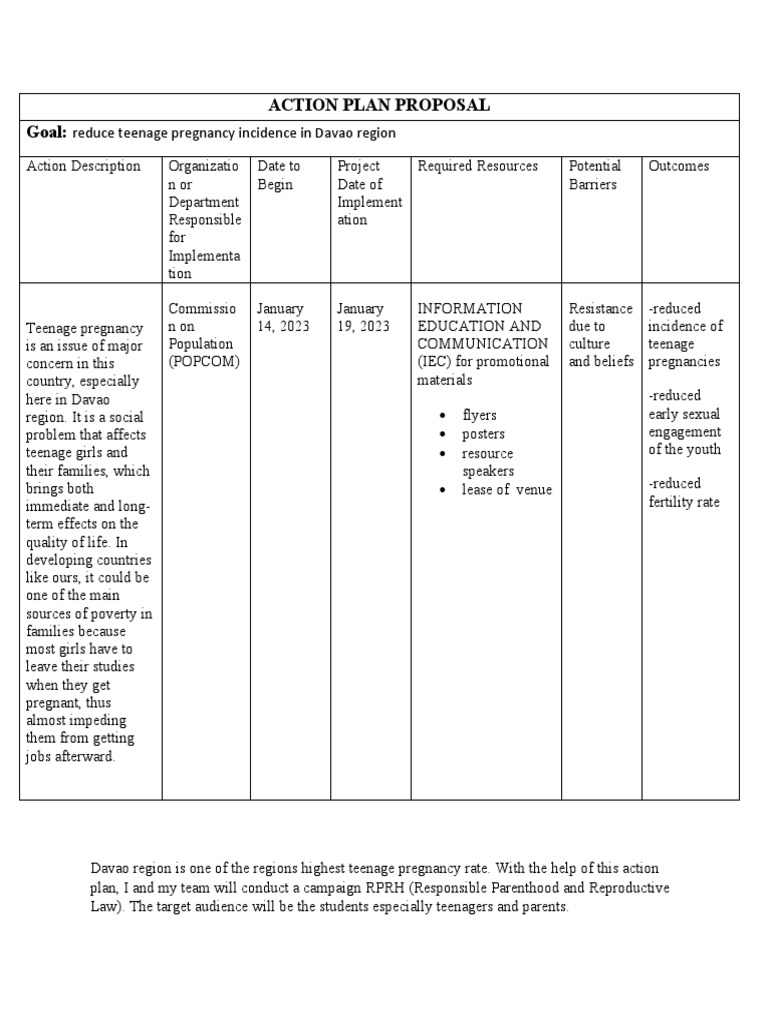 Action Plan Final | PDF