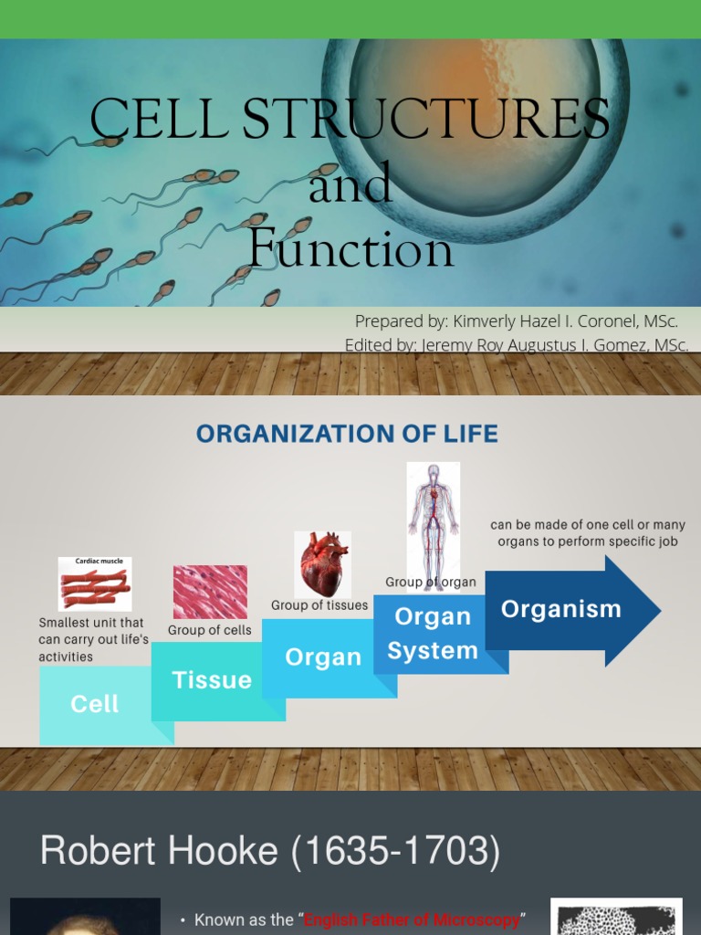 Cell Introduction Handout | PDF | Cell (Biology) | Microscope