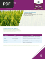 Ficha Técnica Kelpak | PDF | Fertilizante | Plantas