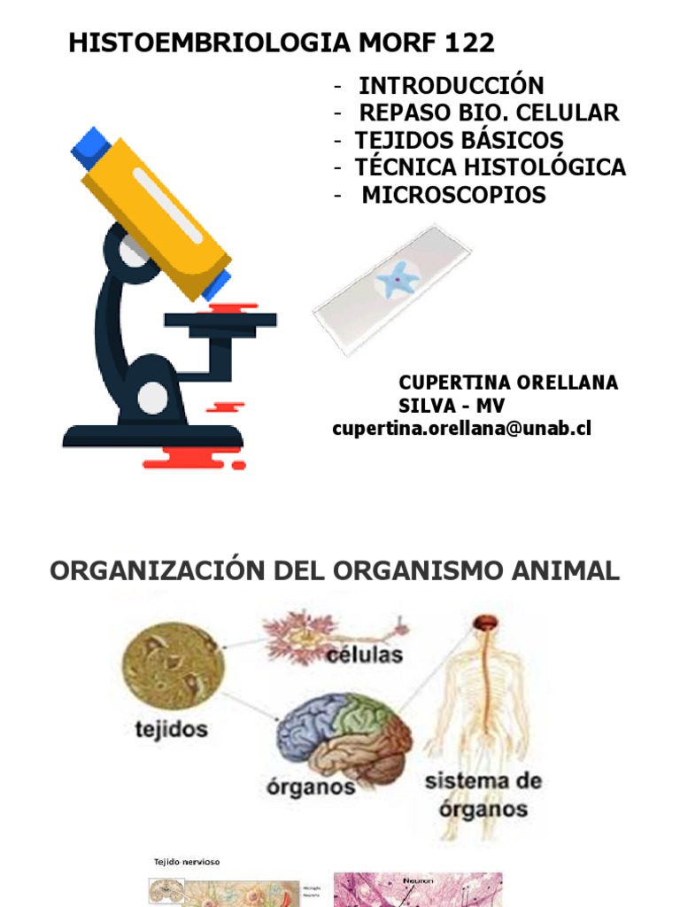 Histoembriologia Morf 122: - Introducción - Repaso Bio. Celular - Tejidos Básicos - Técnica ...