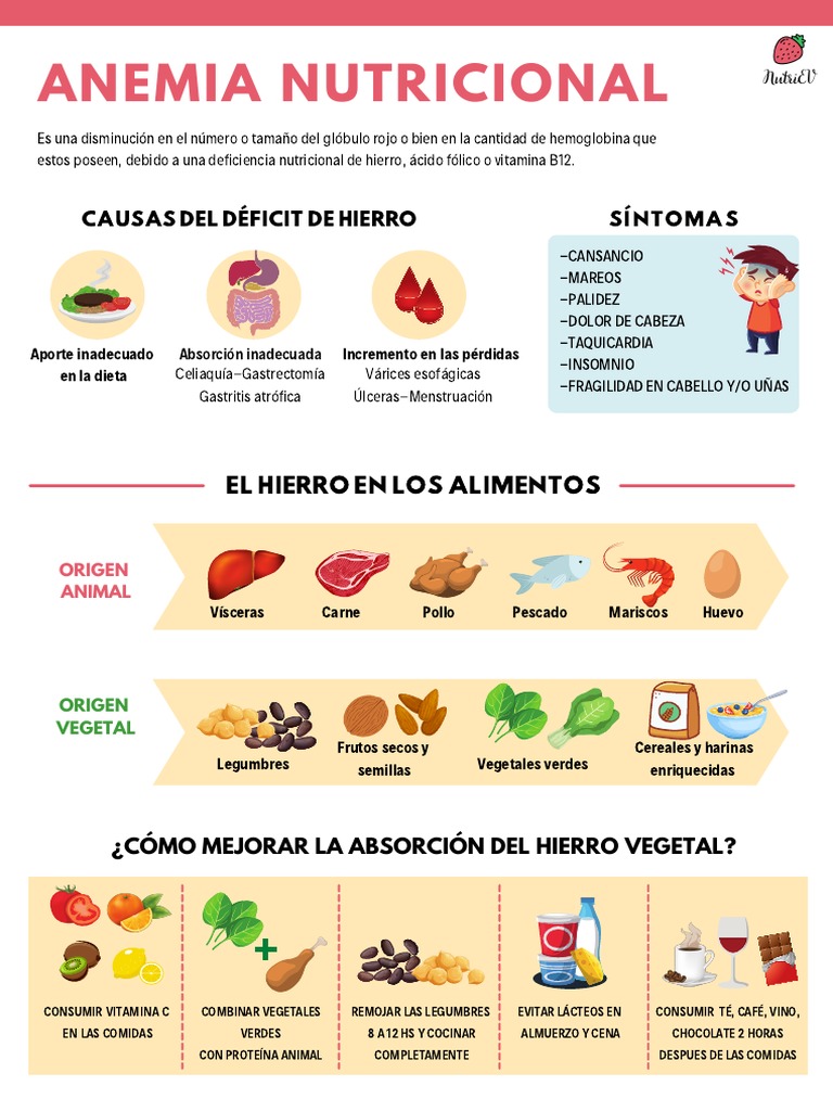 Causas, síntomas y prevención de la anemia nutricional | PDF