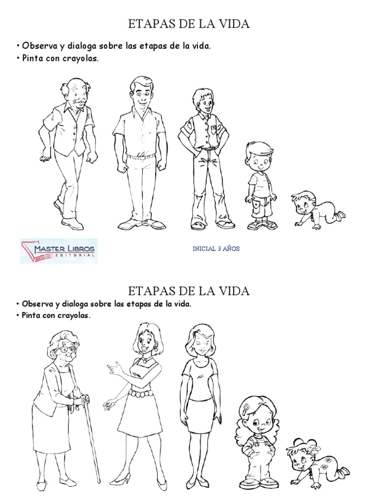 Etapas de La Vida | PDF