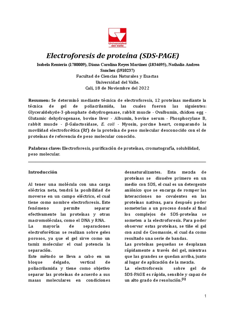 Informe Electroforesis Sds-Page | PDF | Biología Molecular | Física Aplicada e Interdisciplinaria