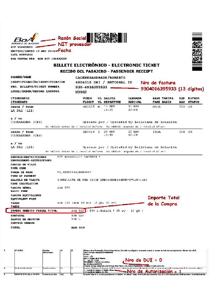 Factura Electrónica en Línea | PDF