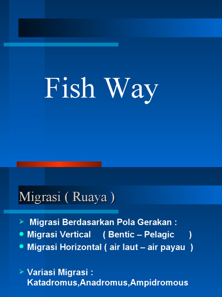 Fish way | PDF
