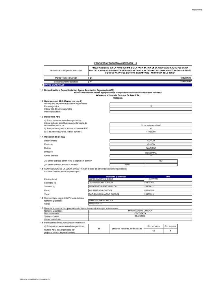Formato de 3b, Mas Grande | PDF | Marketing | Costo
