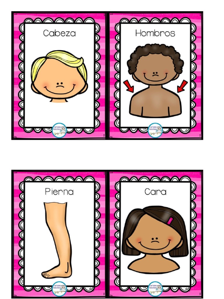 TARJETAS Cuerpo Humano | PDF