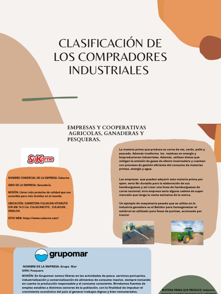 Clasificación de Los Compradores Industriales | PDF | Hospital