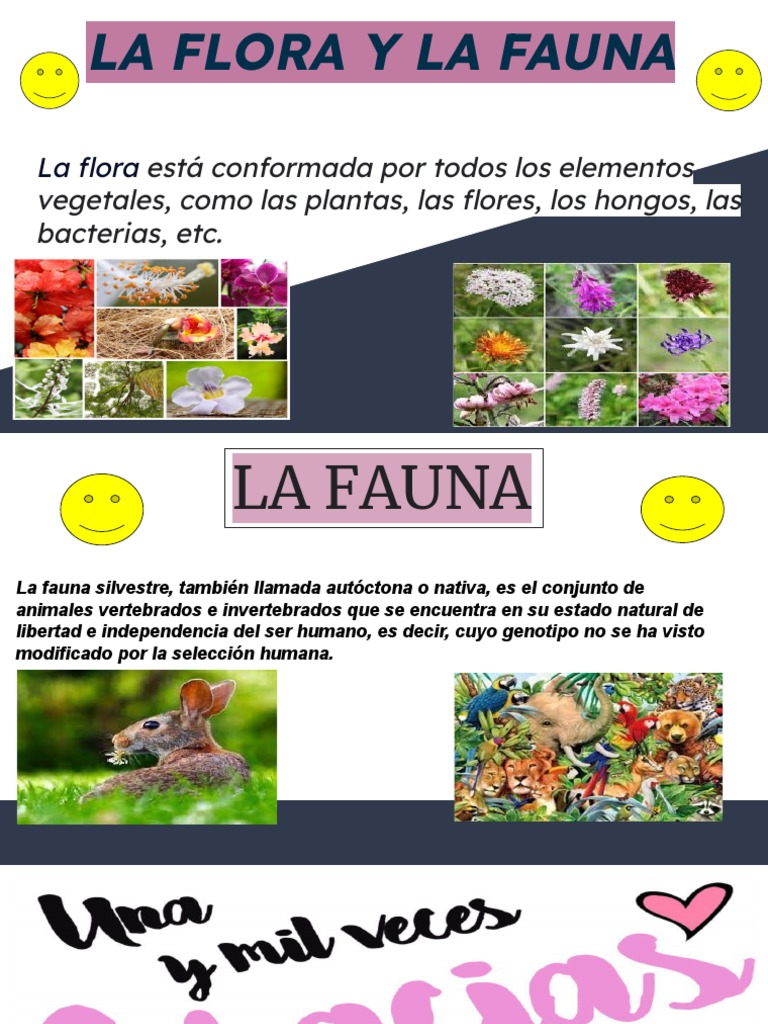 La Flora y La Fauna | PDF