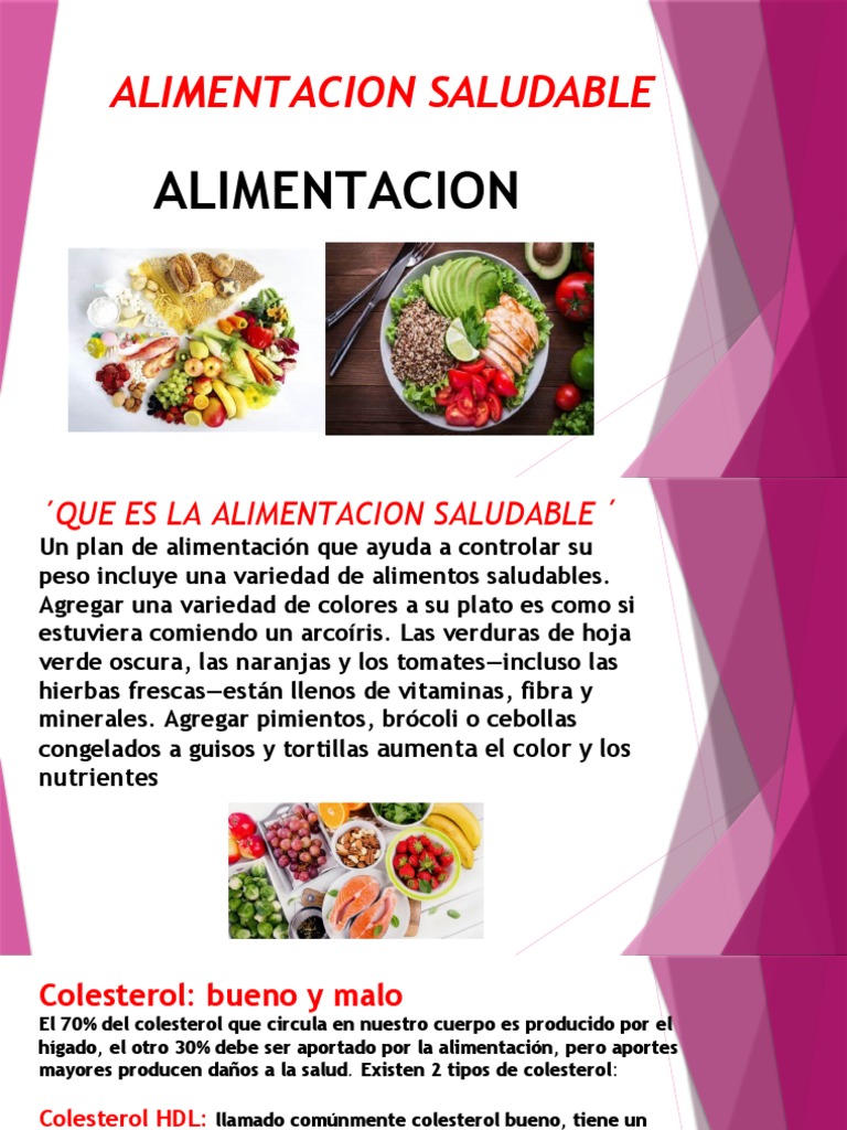 Alimentacion Saludable Pdf