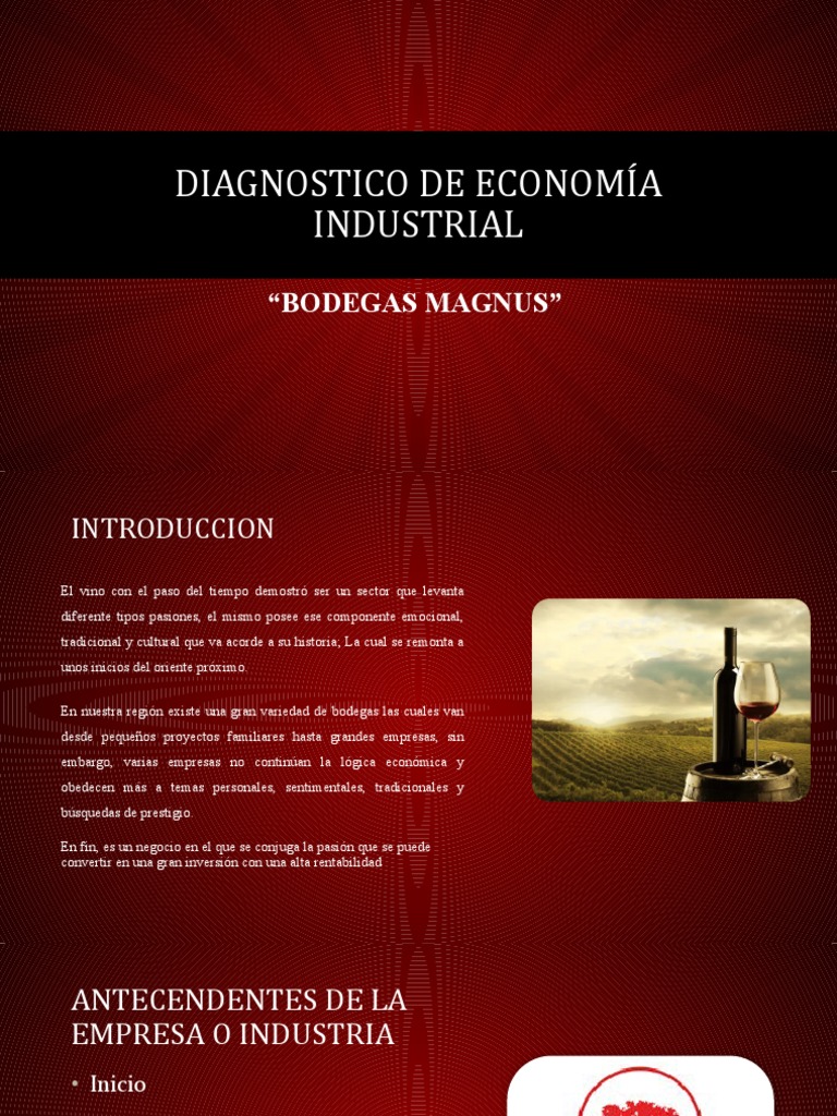 Diagnostico de Economia Industrial: "Bodegas Magnus" | PDF | Mercado ...