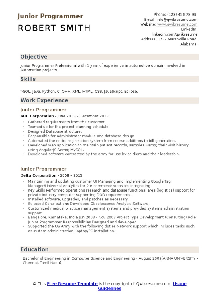 CV Junior-Programmer | PDF | Programmer | Databases