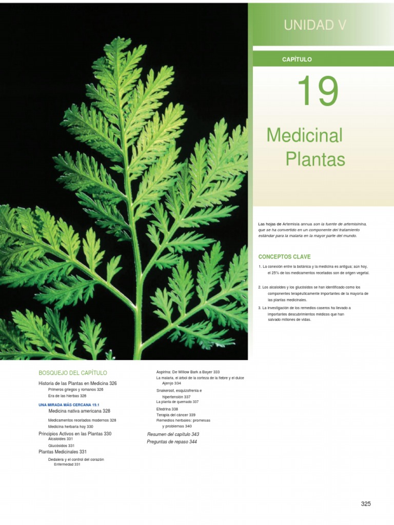 Plants and Society Cap 19 Medicinal Plants | PDF | Plantas medicinales ...