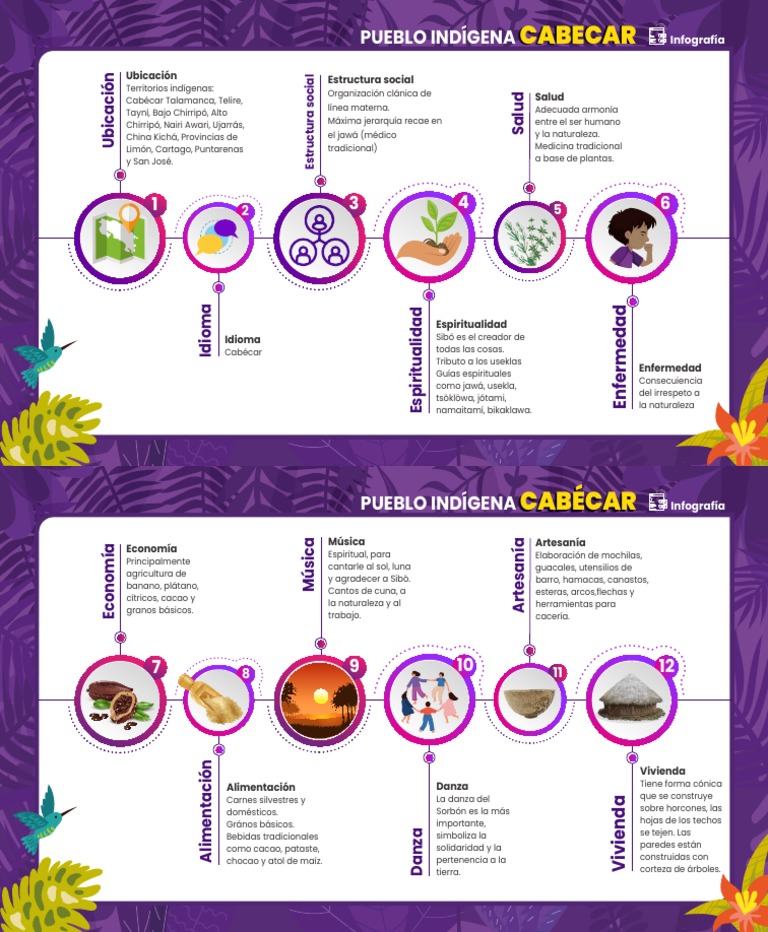 Infografia Cabecar | PDF