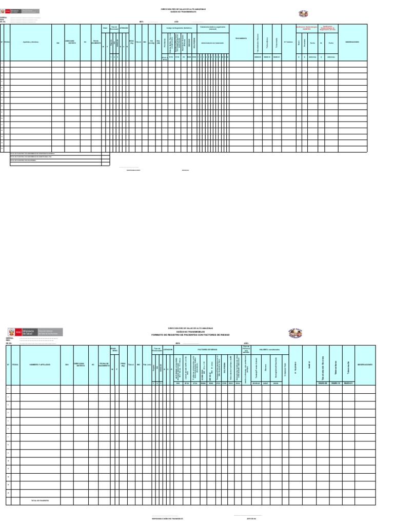 Formato de Padron Nominal DNT 2022 Modificado | PDF | Diabetes ...