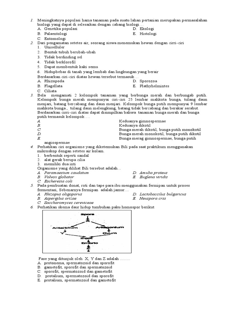 Latihan Soal Ke-2 | PDF