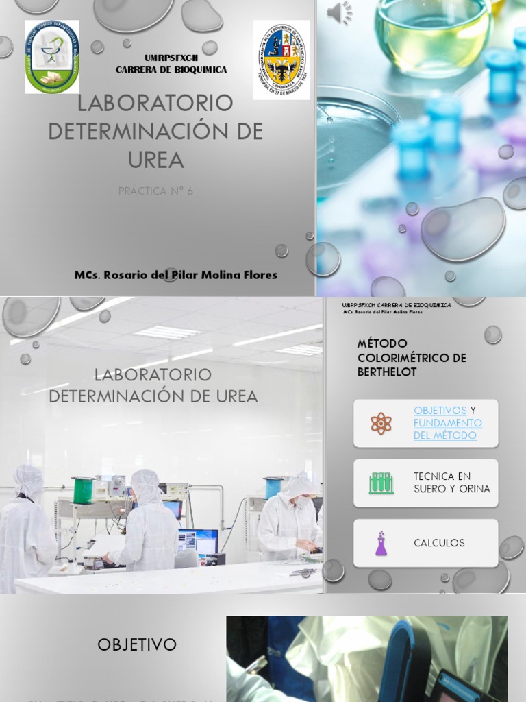 Practica de Laboratorio 6 Urea - 2022 | PDF | Urea | Amoníaco