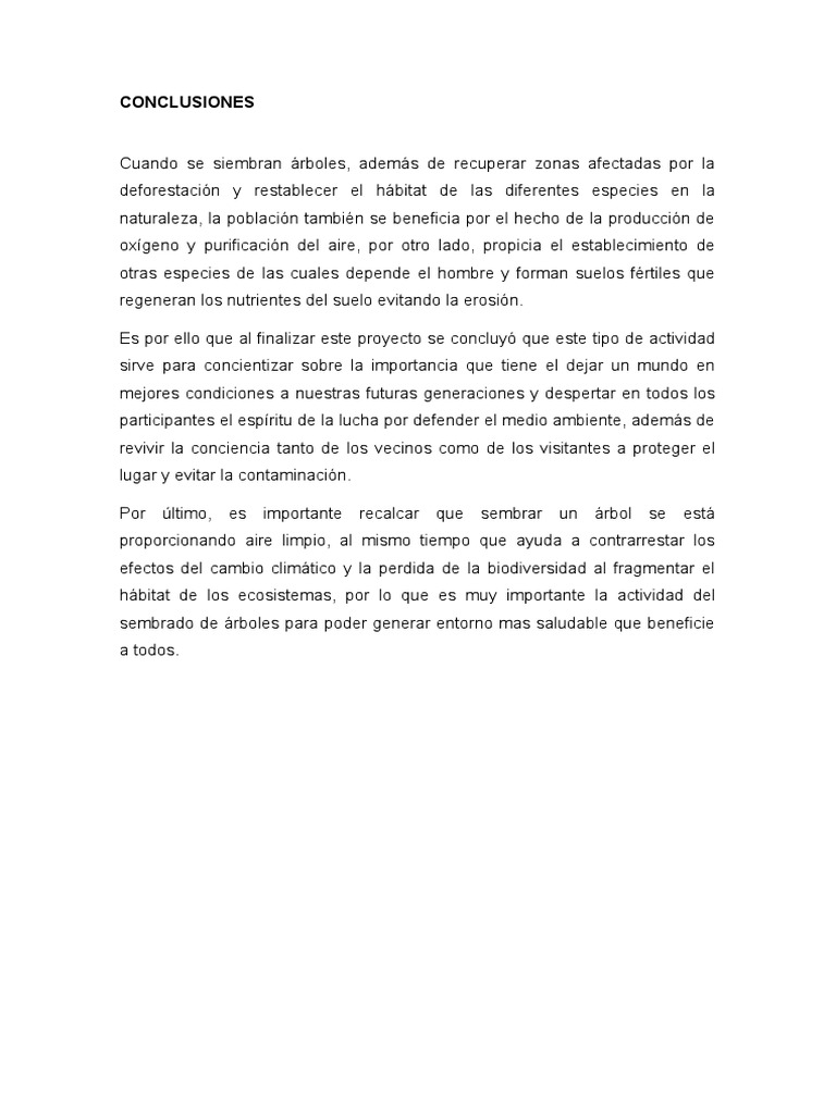 CONCLUSIONES | PDF