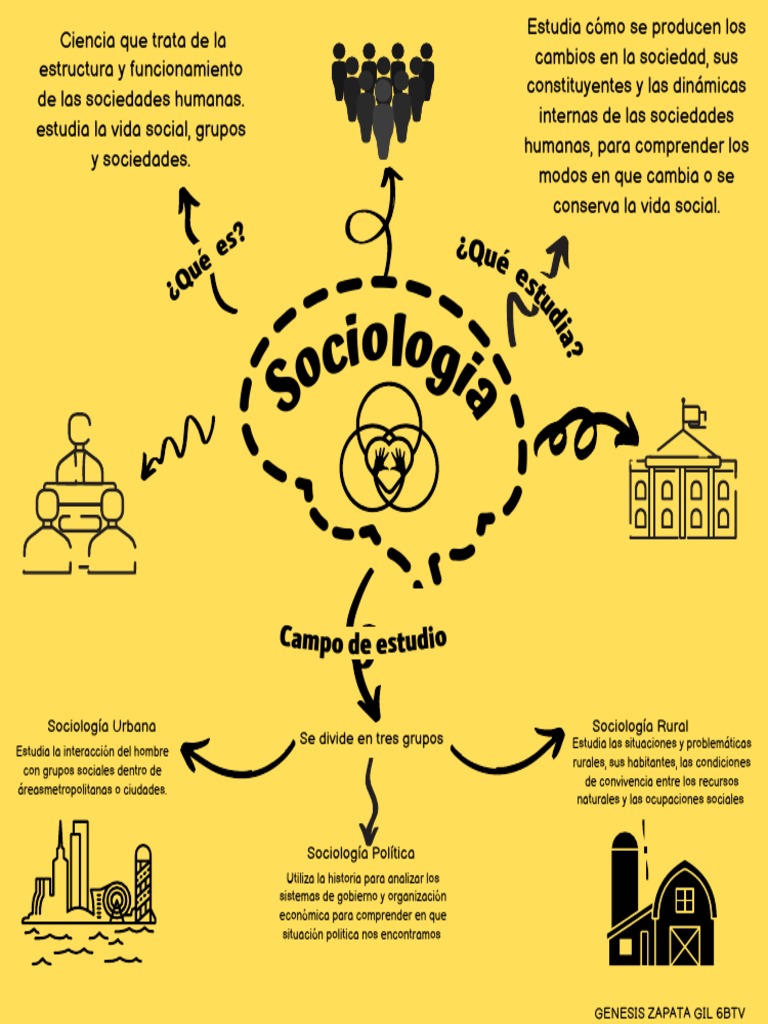 Estructura y División de la Sociología | PDF | Sociedad | Sociología