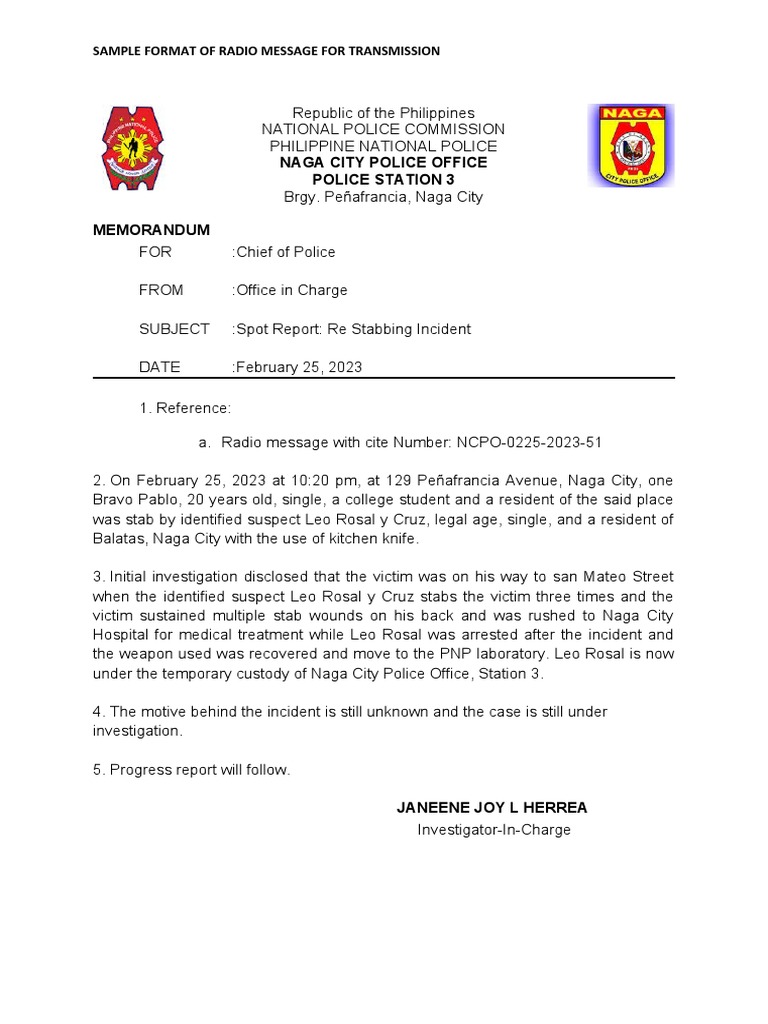 Final Report on Stabbing Incident | PDF | Violence | Crimes