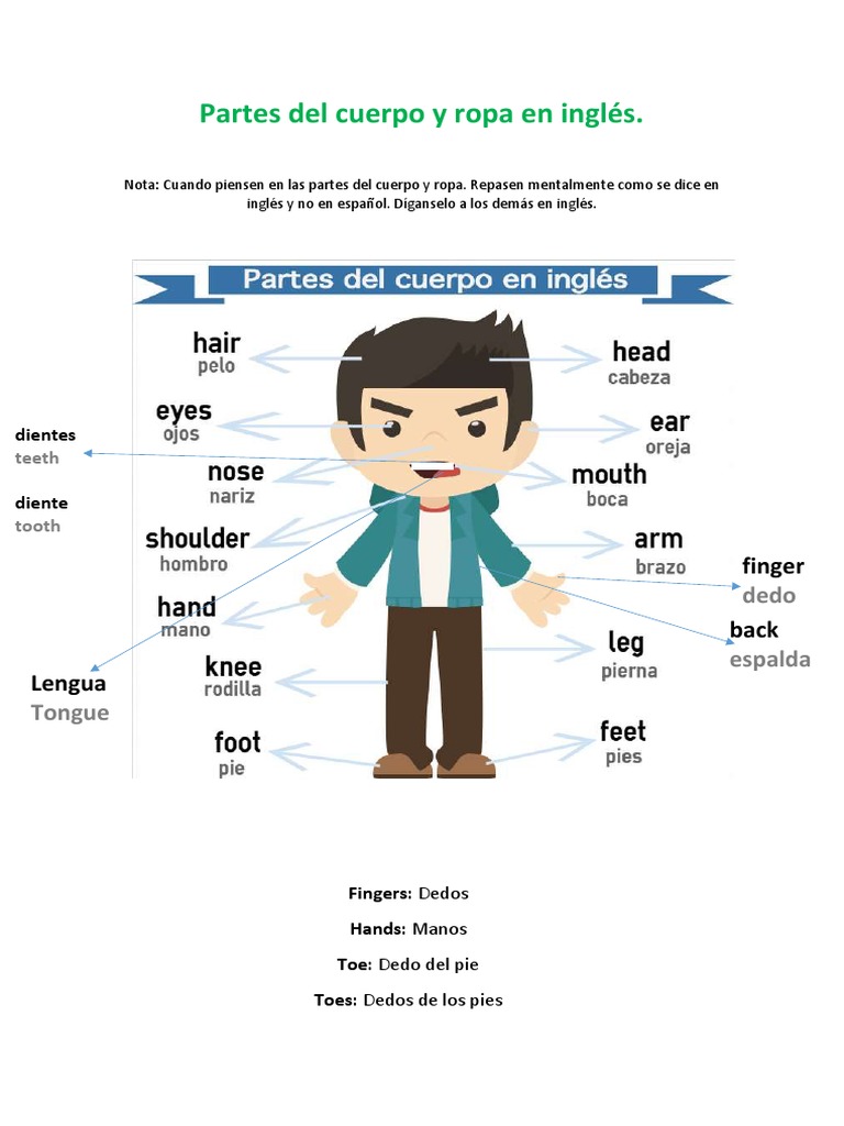 Clase 3. PARTES DEL CUERPO Y ROPA | PDF