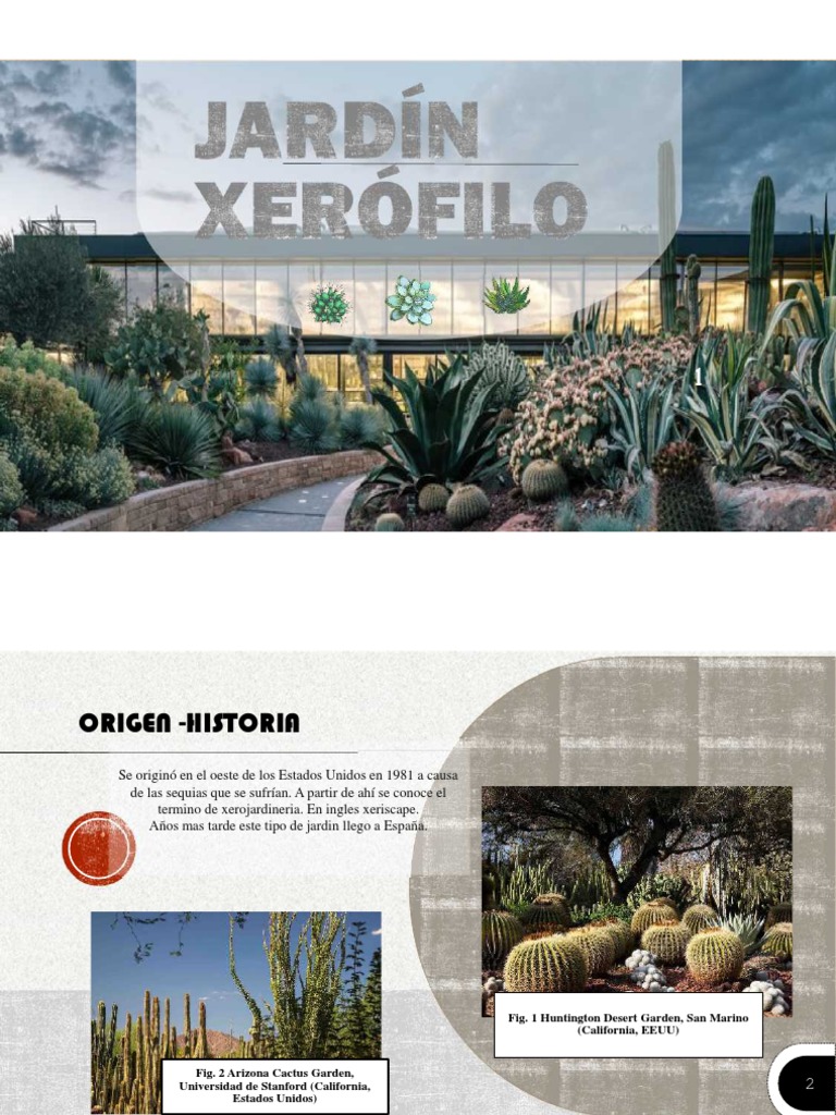 JARDÍN XERÓFILO Exposcicion 1 | PDF | Suelo | Riego