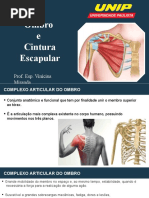 Articulação Do Ombro (Glenoumeral) Anatomia e Músculos Kenhub | PDF ...