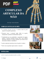 Aula 6 Ossos, Músculos, Inervação e Vascularização Do Punho e Mão | PDF ...