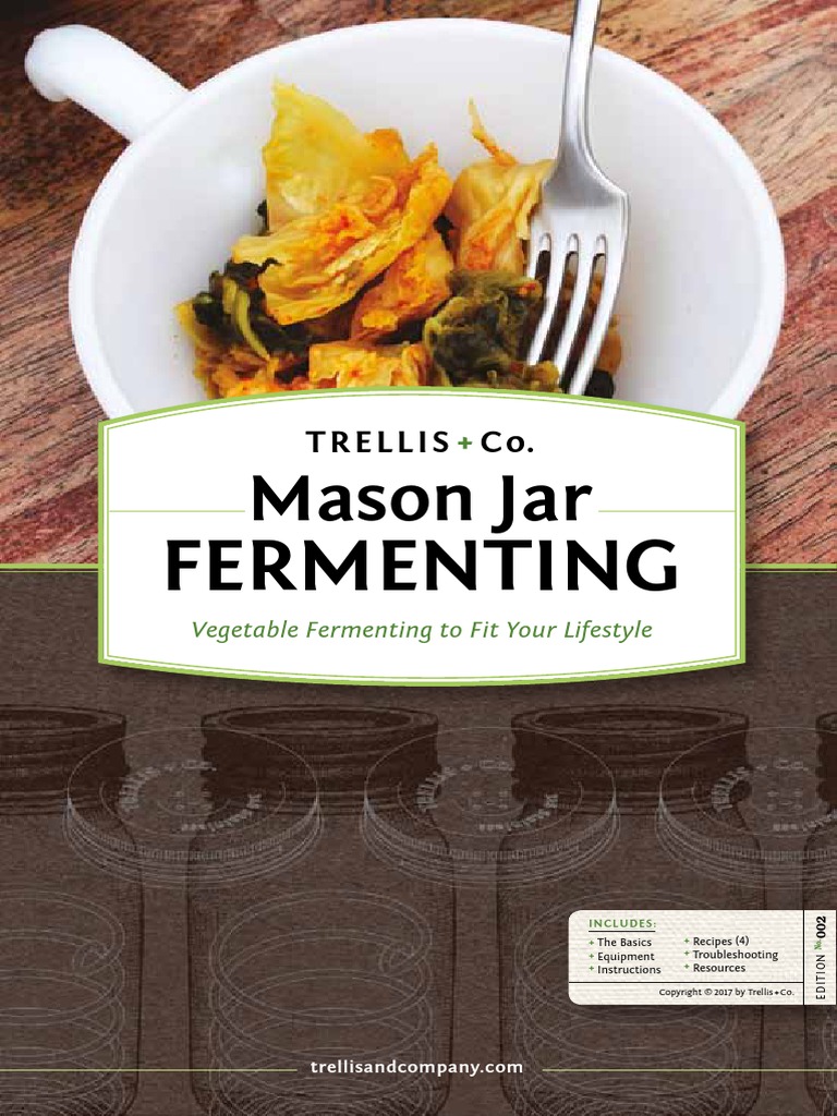 Mason Jar Fermenting | PDF | Lactobacillus | Pickling