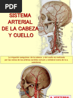 Irrigación Dental y Cavidad Bucal | PDF | Lengua | Anatomía humana