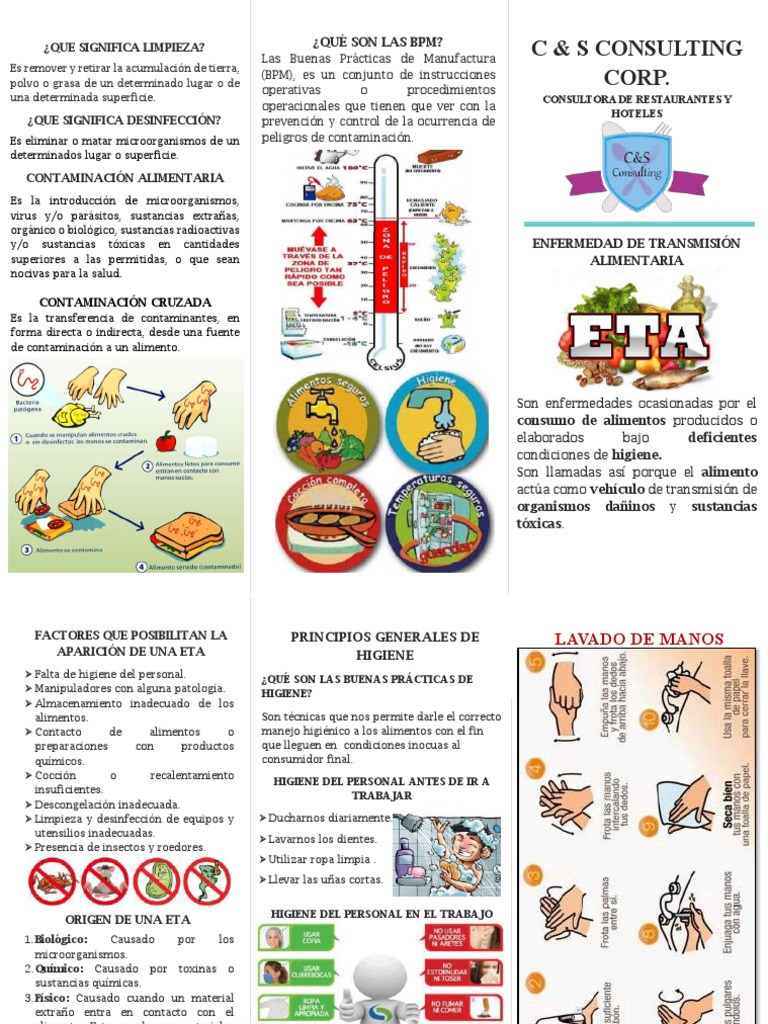 Triptico Eta BPM | PDF | Alimentos | Contaminación