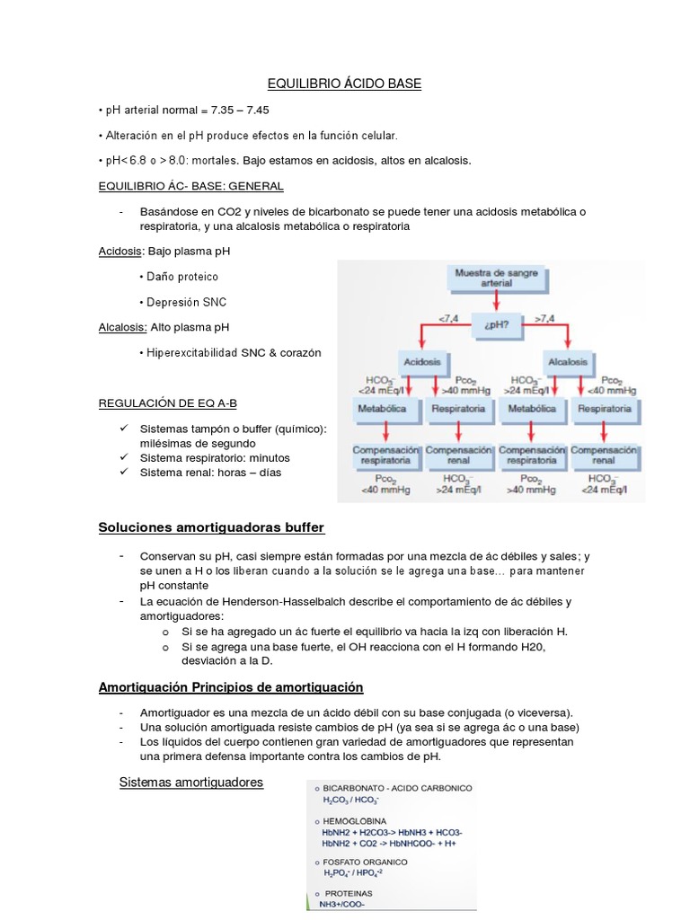 Equilibrio Ácido Base | PDF | Solución tampón | Medicina CLINICA