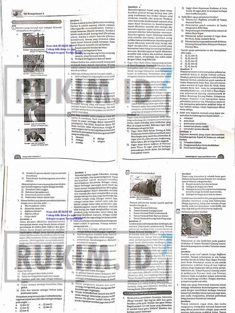 Bio 10 Bab 2 Ujikom 2 I.P. 2022 20223 | PDF
