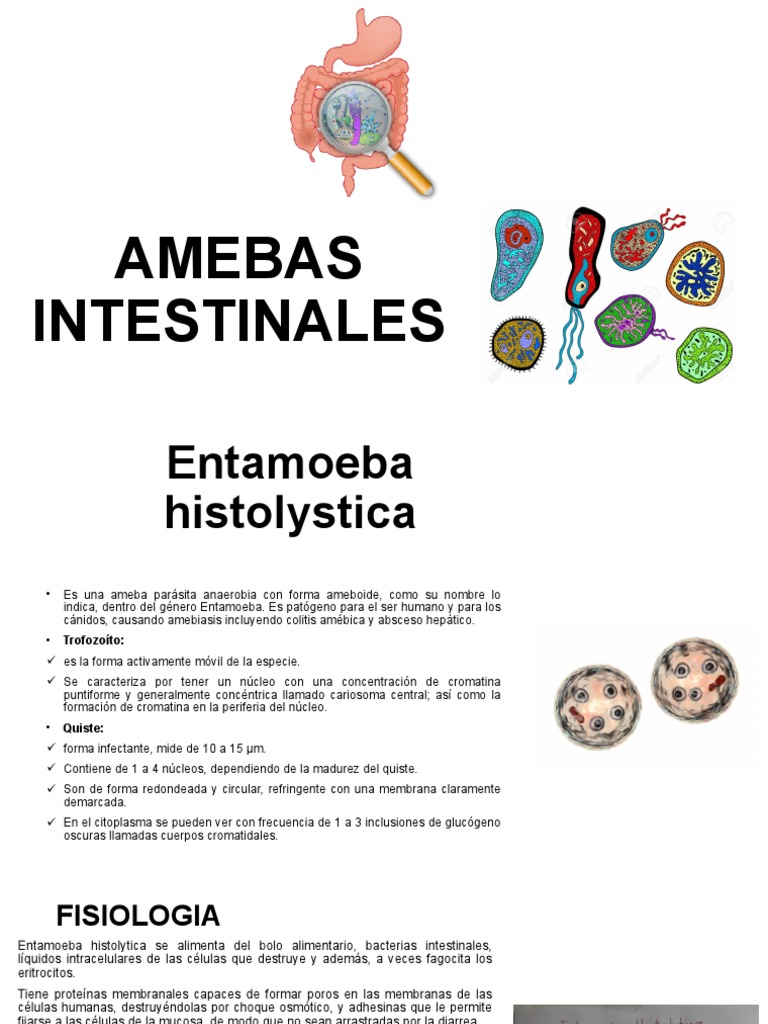 Amebiasis: Causas, Síntomas y Tratamiento | PDF | Causas de la muerte | Especialidades Medicas